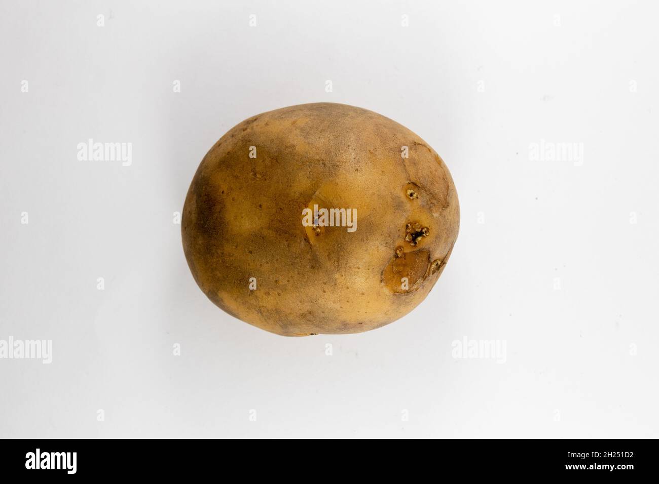 Top view of a potato isolated on a white background Stock Photo - Alamy