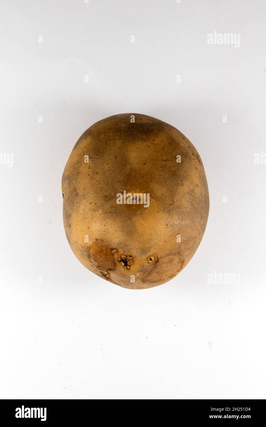 Top view of a potato isolated on a white background Stock Photo - Alamy