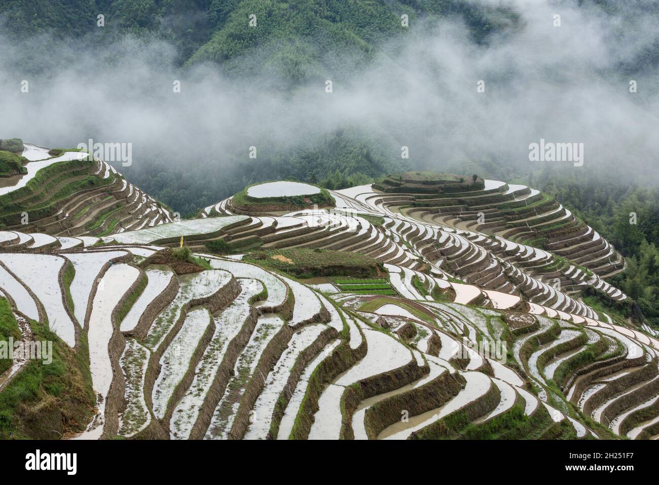 The Seven Stars around the Moon section of the Ping'an Rice Terraces of ...