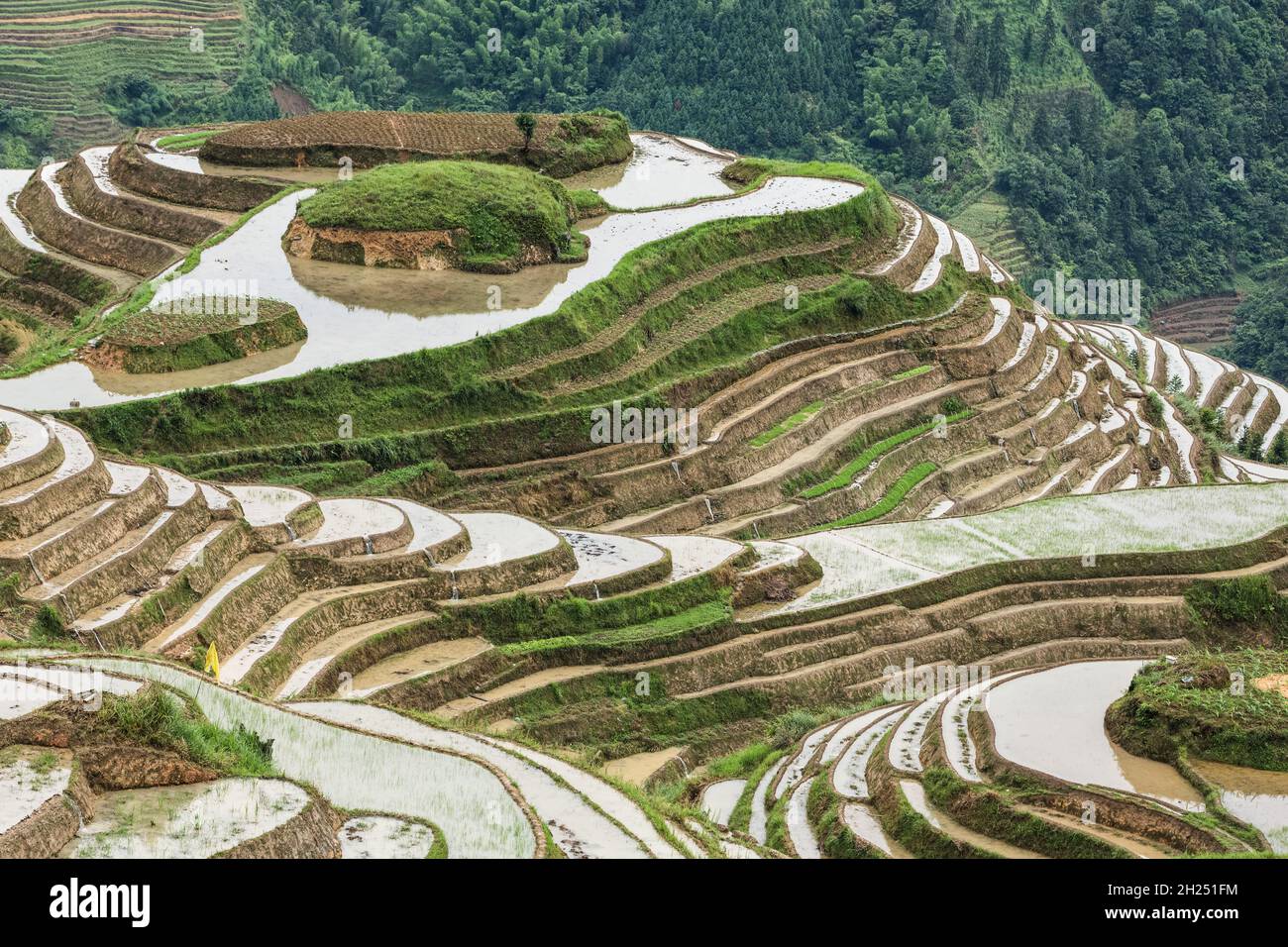 The Seven Stars around the Moon section of the Ping'an Rice Terraces of ...