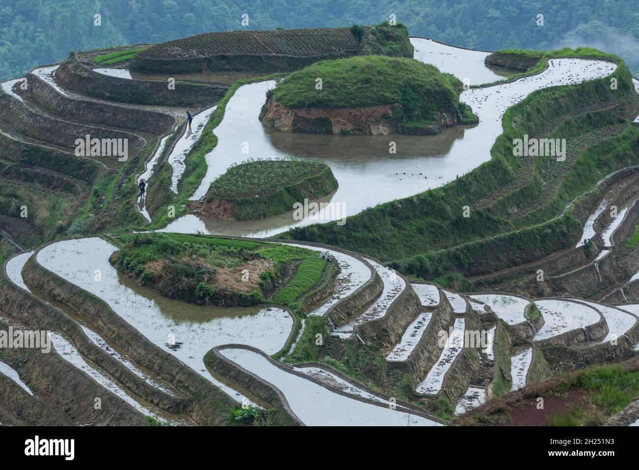 The Seven Stars around the Moon section of the Ping'an Rice Terraces of ...