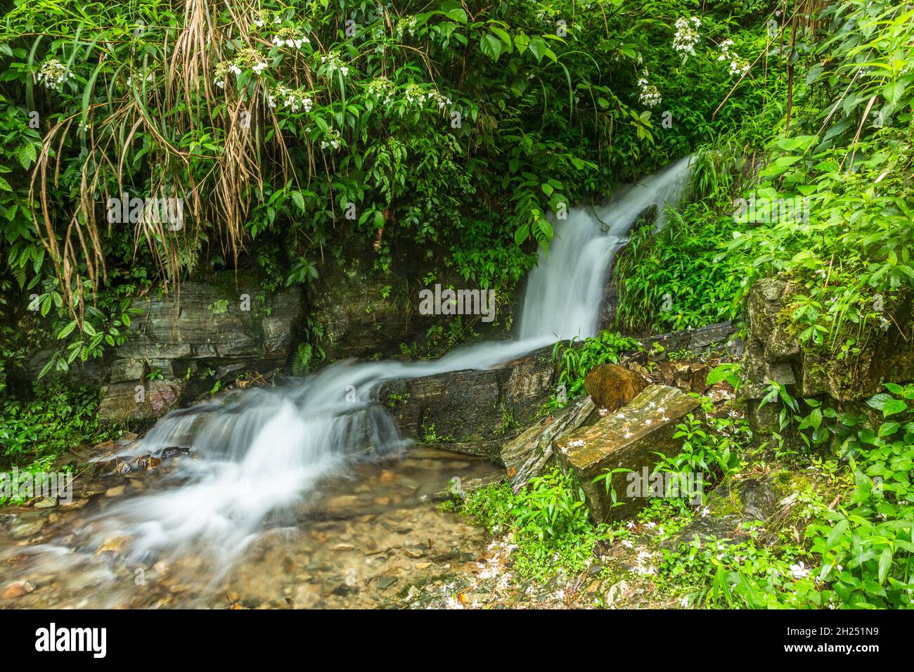 A small mountain stream above the Longshen rice terraces in Guangxi ...