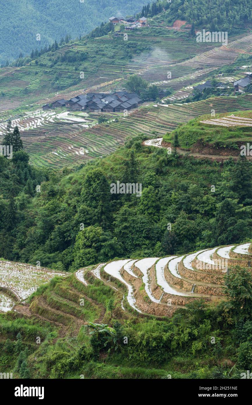 A traditional Zhuang ethnic minority village on the hillside of the ...