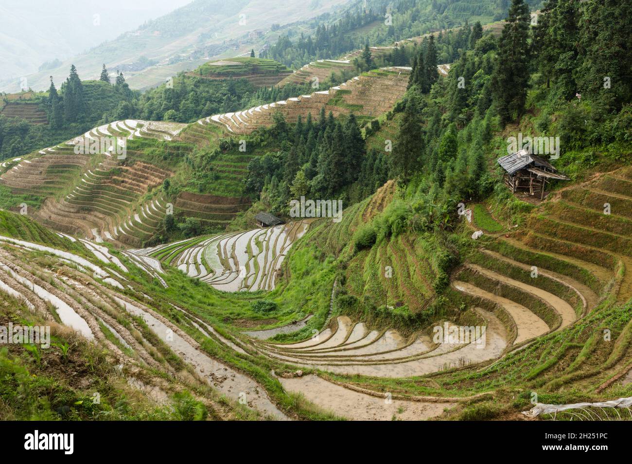 Longi scenic area hi-res stock photography and images - Alamy