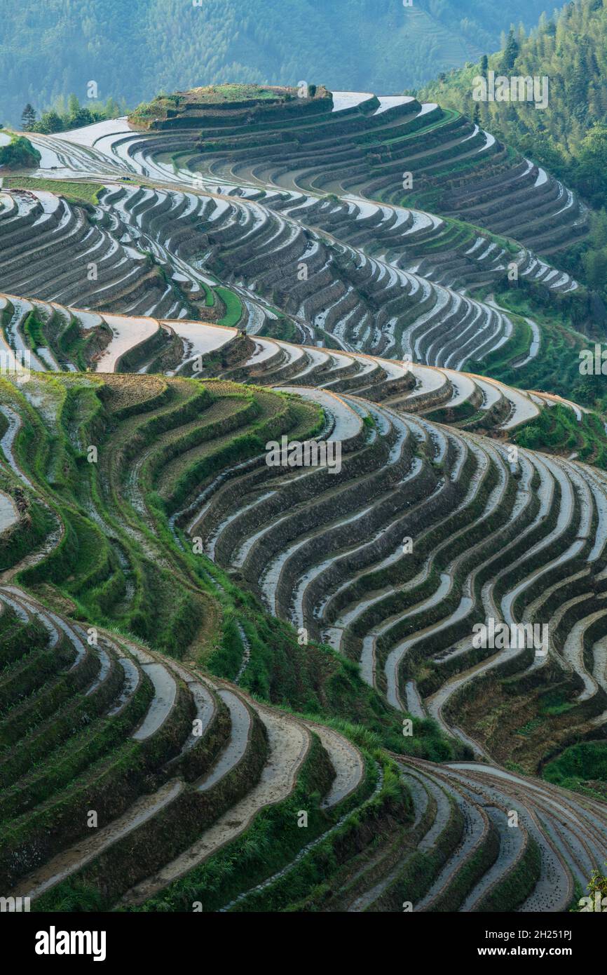 The Seven Stars around the Moon section of the Ping'an Rice Terraces of ...