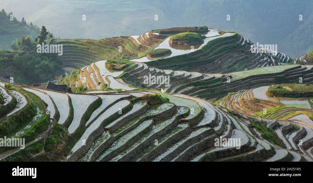The Seven Stars around the Moon section of the Ping'an Rice Terraces of ...