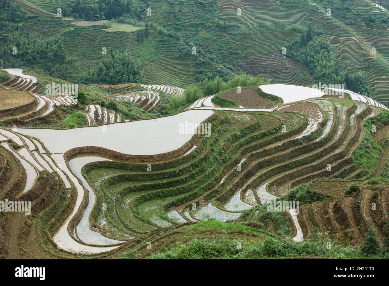 The Jinkeng section of the Longshen Rice Terraces in Guangxi, China ...