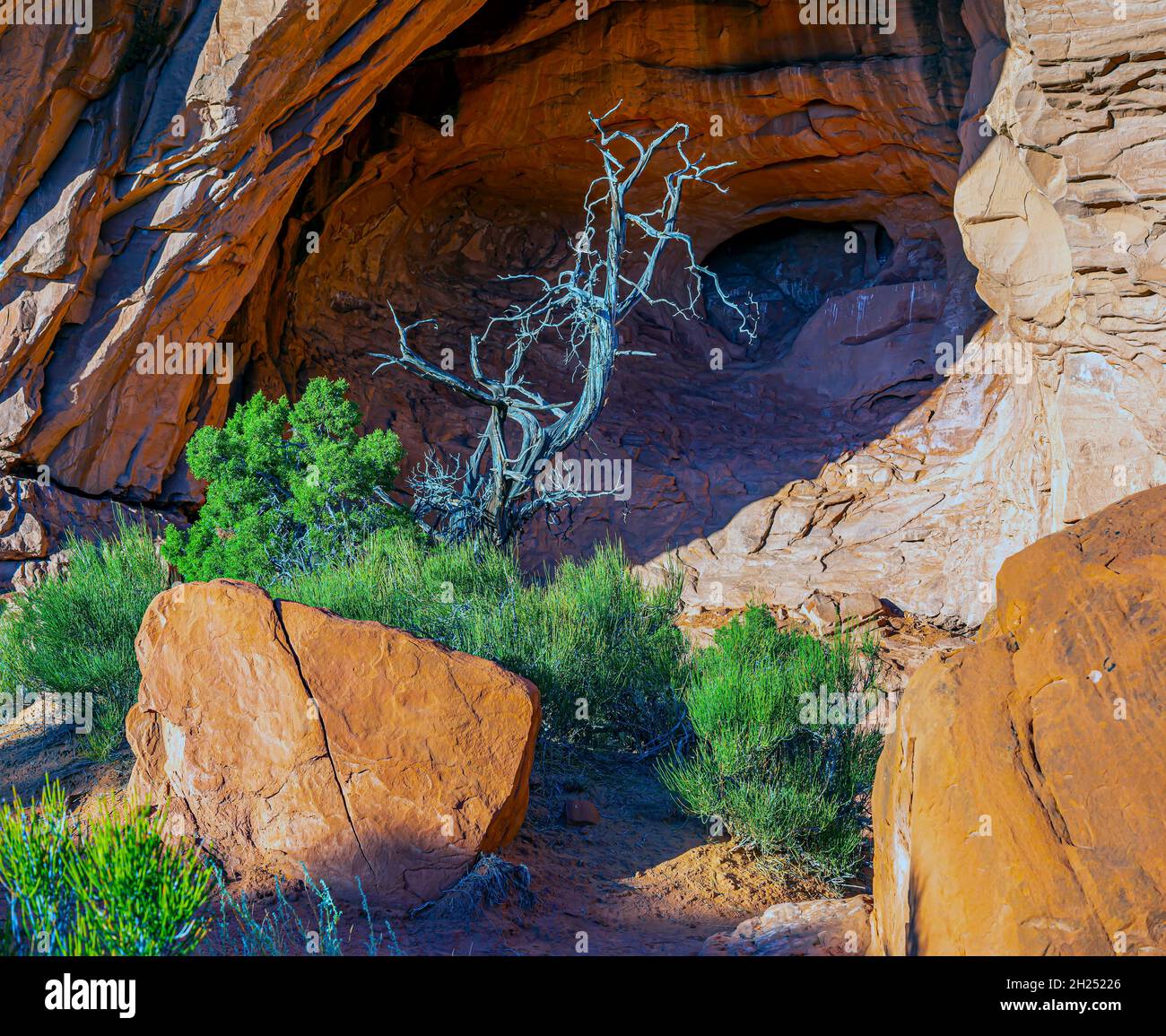 Arches National Park is a national park in eastern Utah, United States ...