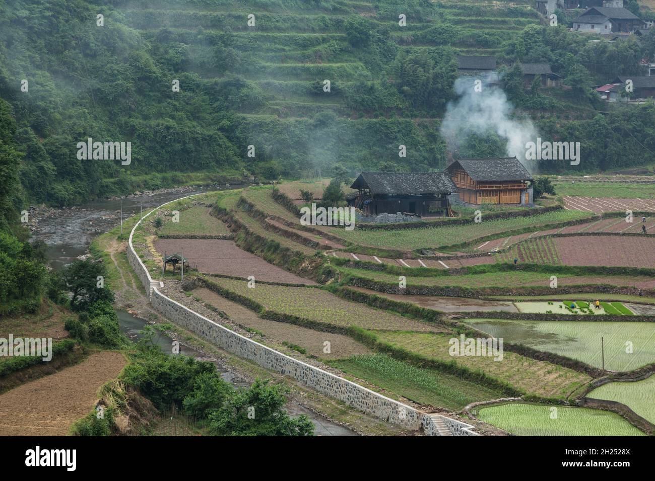 Smoke rises from a farm house surrounded by terraced rice paddies in ...