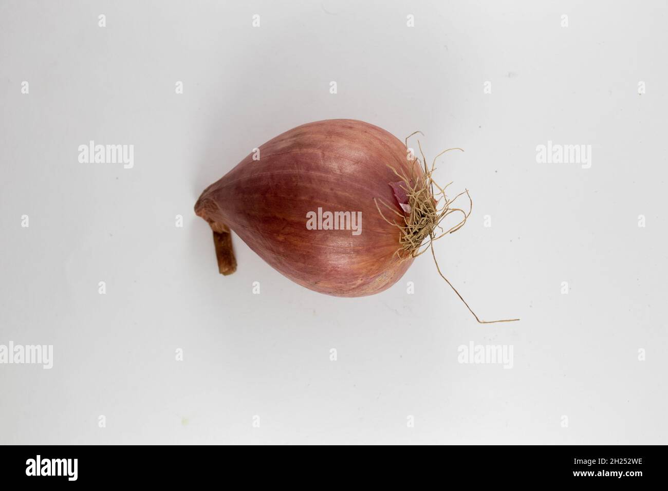 Fresh whole red onion or spanish onion isolated on white background ...