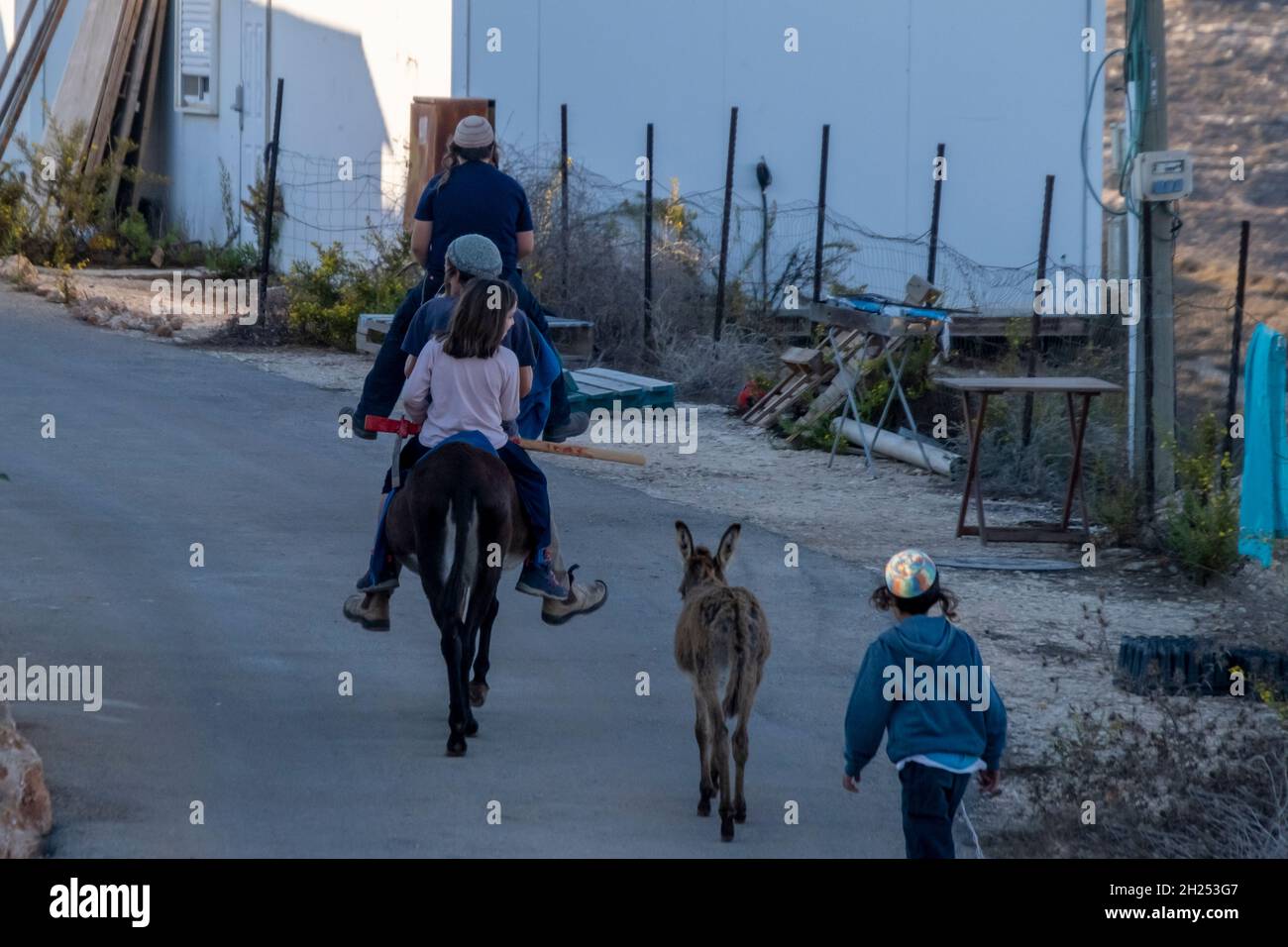 Palestinian With Donkey High Resolution Stock Photography and Images ...