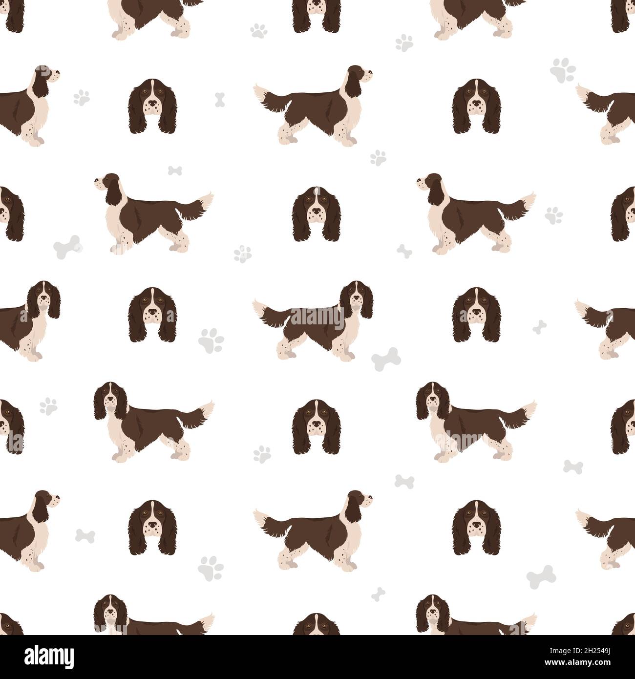 English springer spaniel seamless pattern. Different poses, coat colors ...