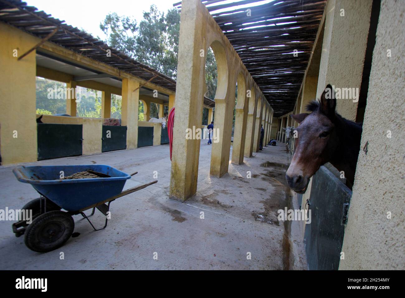 Inside the stables hi-res stock photography and images - Alamy