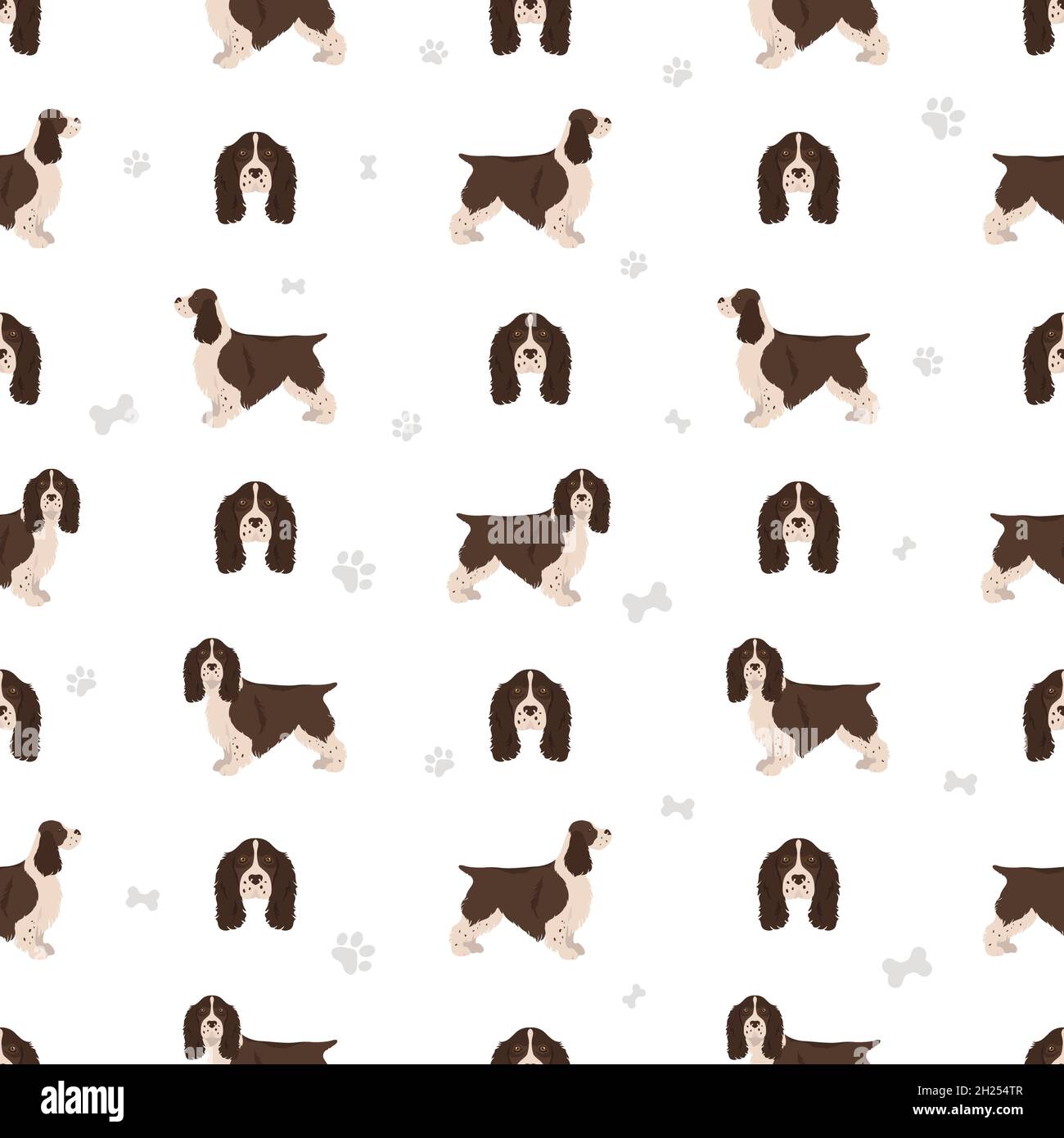 English springer spaniel seamless pattern. Different poses, coat colors ...