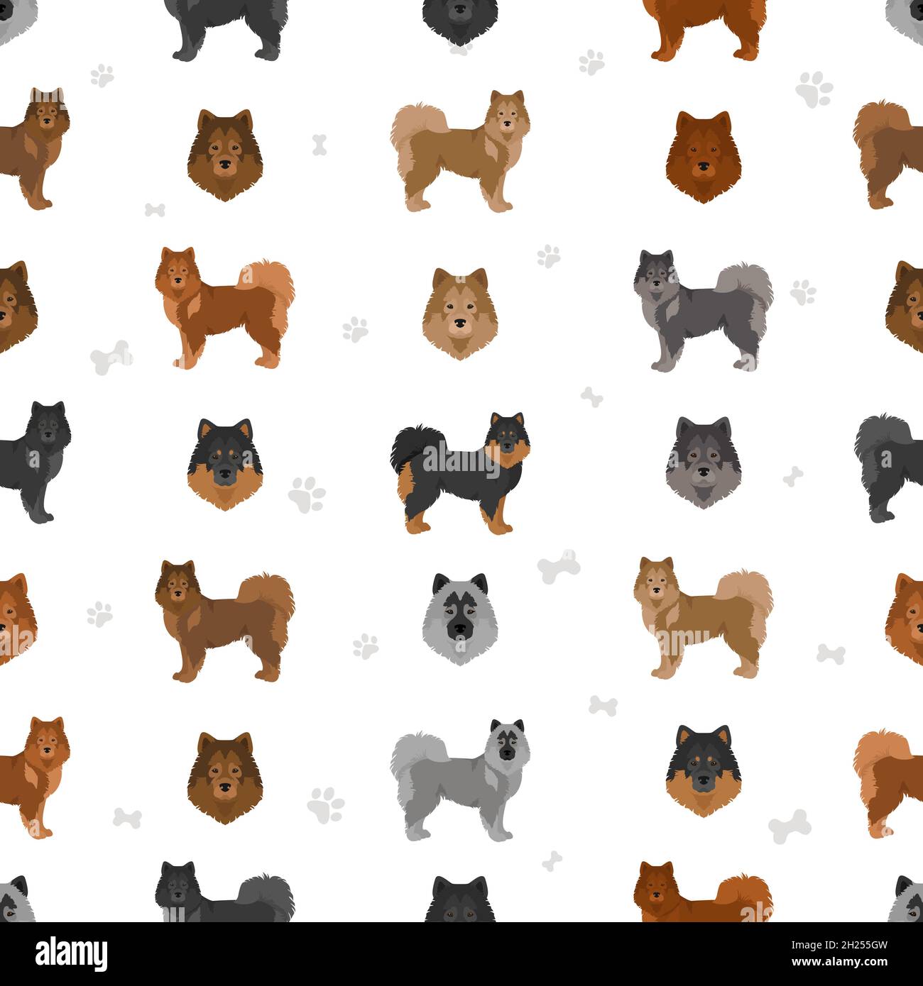 Eurasier dog seamless pattern. Different poses, coat colors set. Vector ...