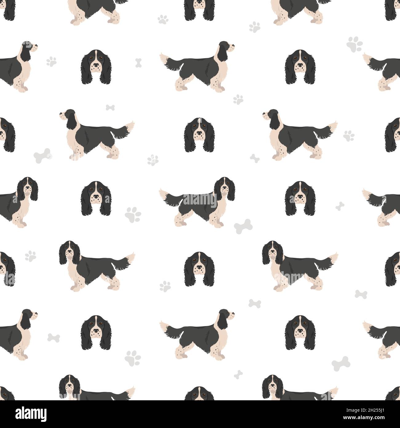 English springer spaniel seamless pattern. Different poses, coat colors ...