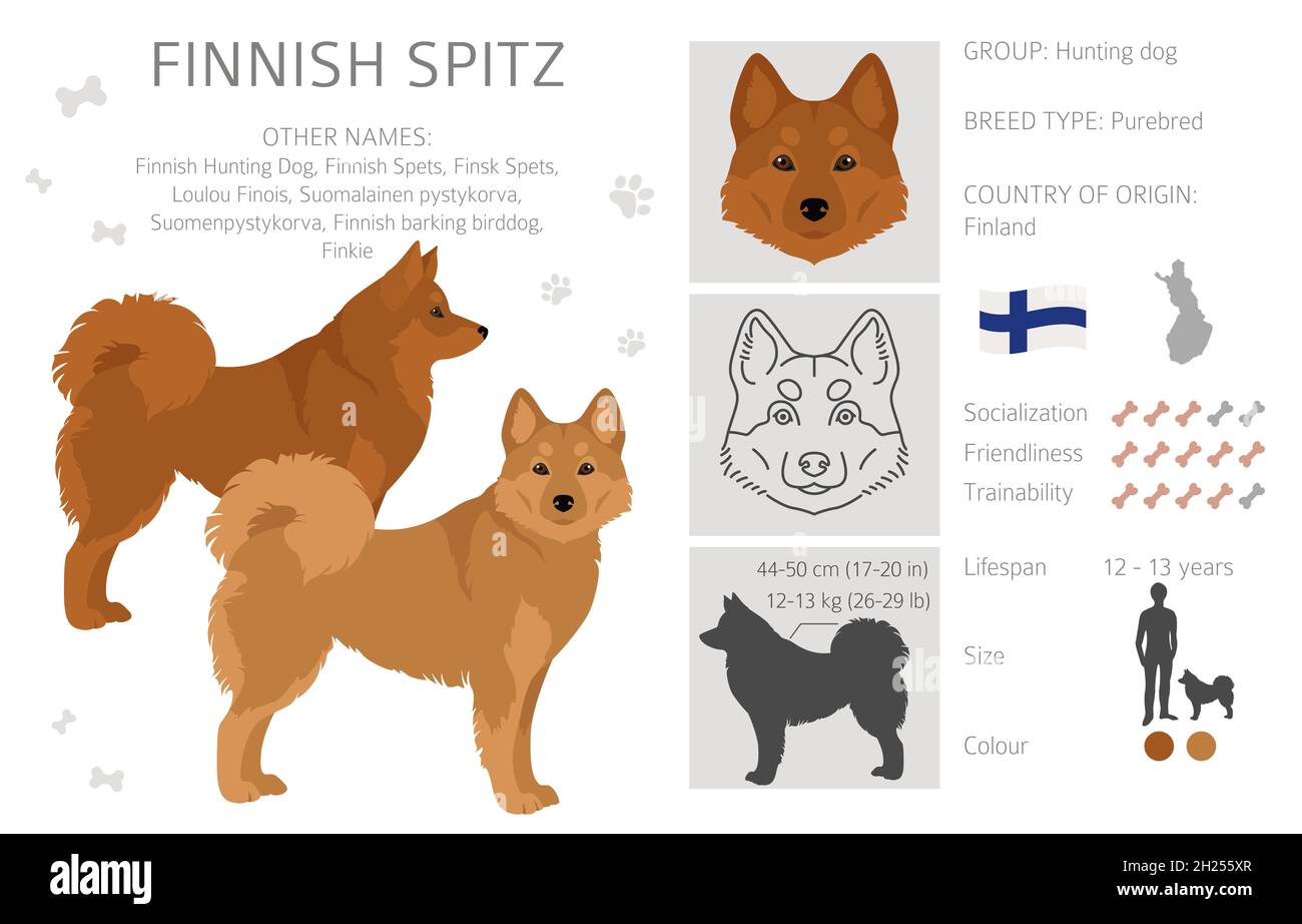 Barking dog cartoon illustration Stock Vector Images - Alamy