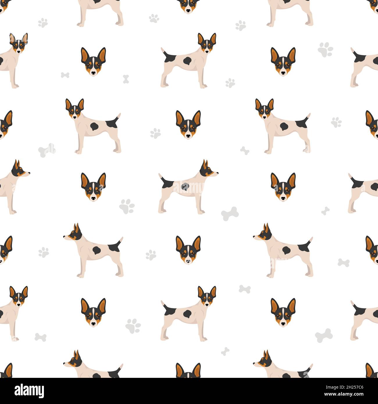 Fox terrier standing Stock Vector Images - Alamy