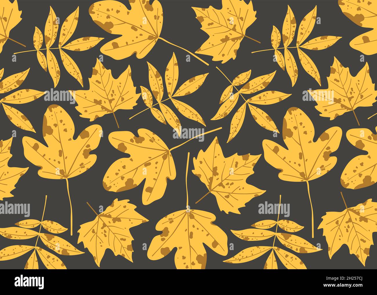 Vector pattern with yellow, dry leaves with different shapes, on a dark ...