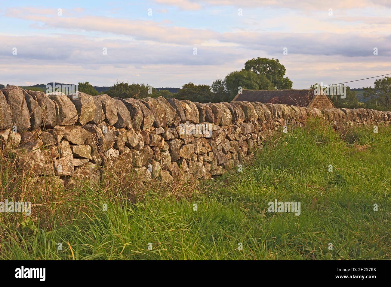 Traditional dry stone boundary walling in farm field in Derbyshire Peak ...
