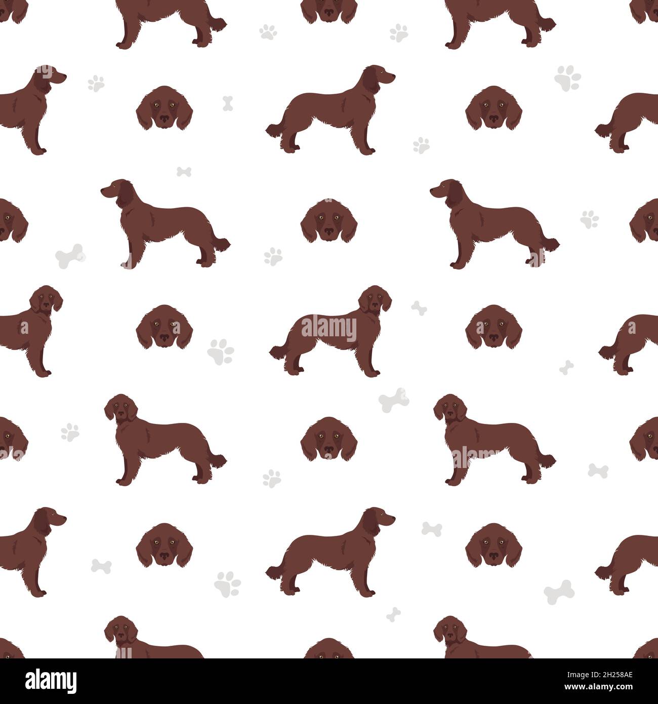 German longhaired pointer seamless pattern. Different poses, coat ...