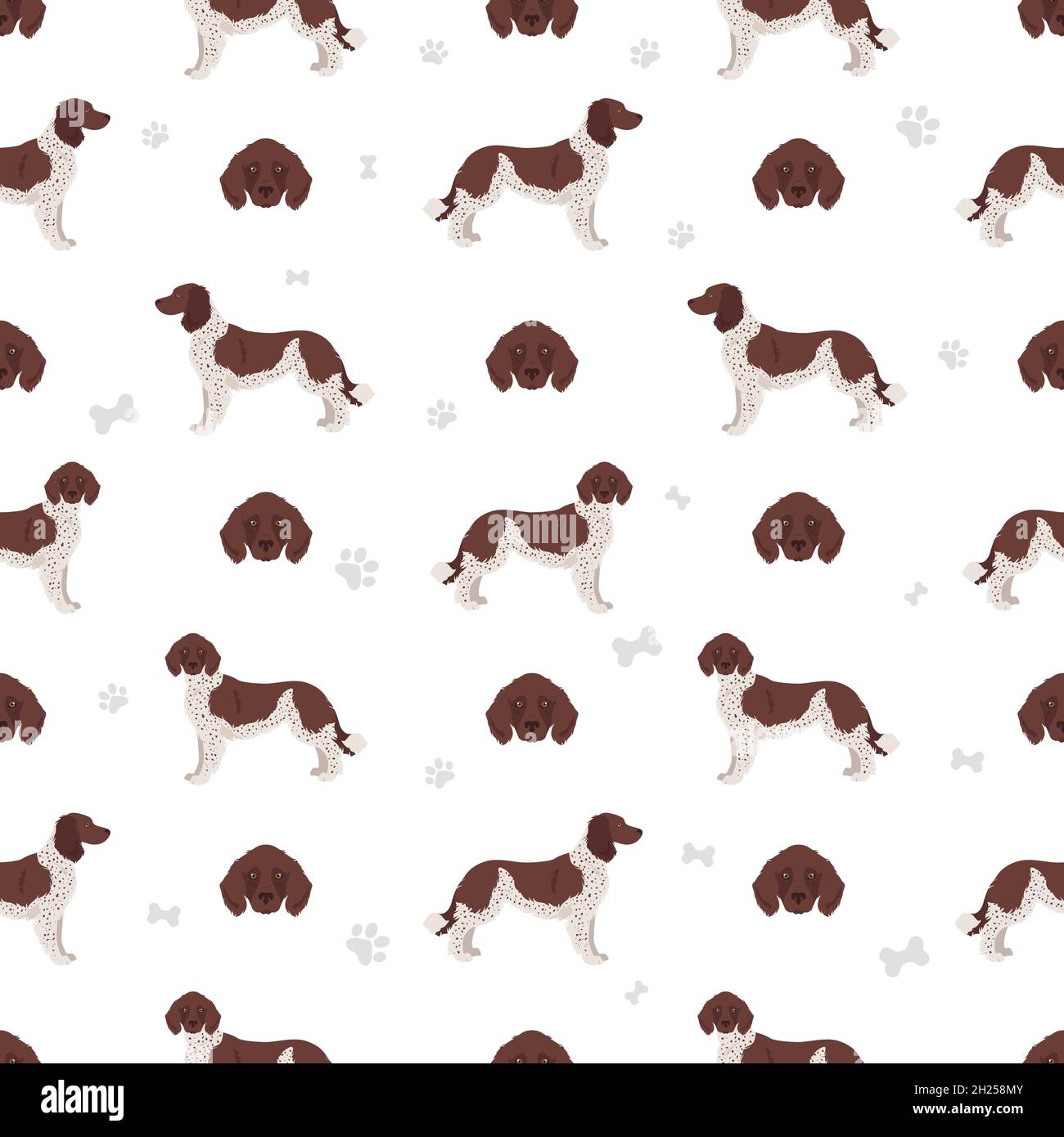 German longhaired pointer seamless pattern. Different poses, coat ...