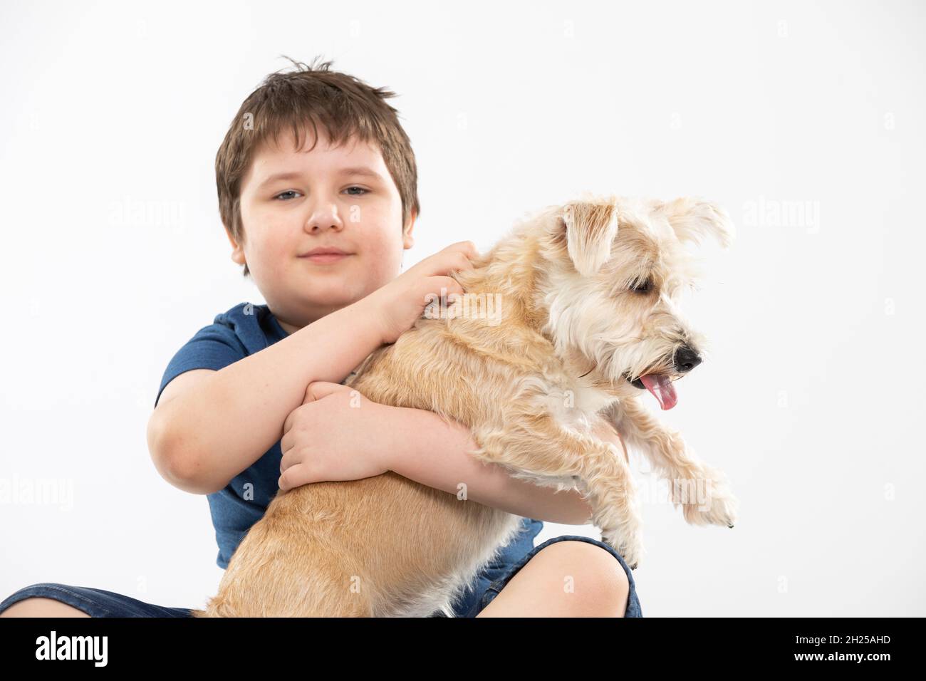 Young boy holds his dog in his arms and strokes it. Subject isolated ...