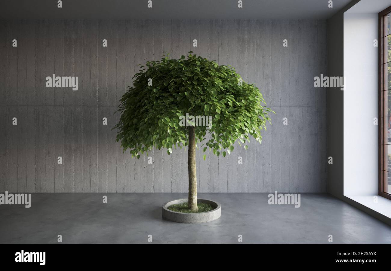 Gallery interior room with empty wall and decorative tree. Gallery ...