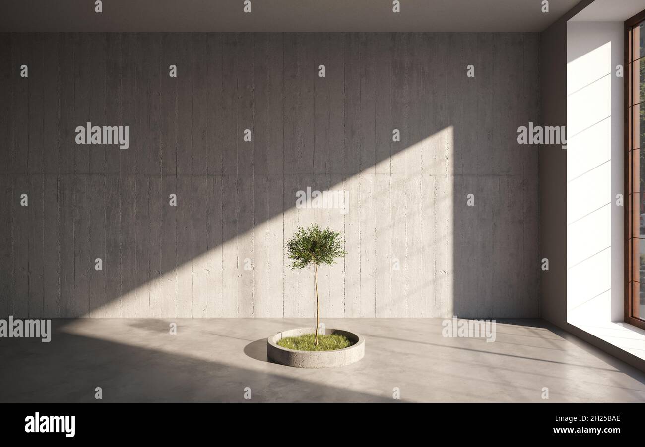 Gallery interior room with empty wall and decorative tree. Gallery ...