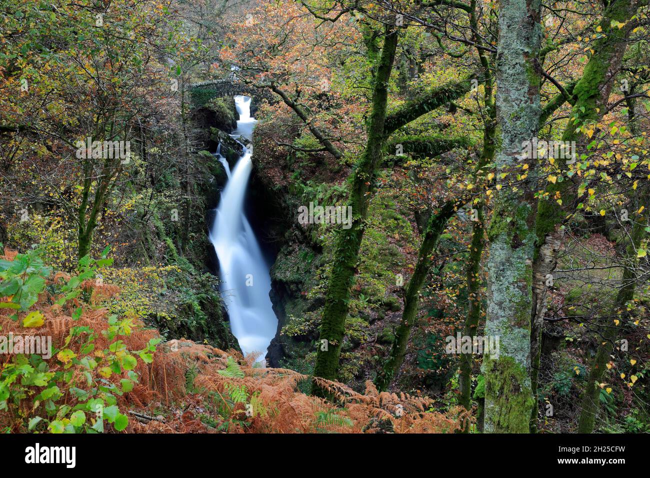 Autumn, Aira Force waterfall near Ullswater, Lake District National ...
