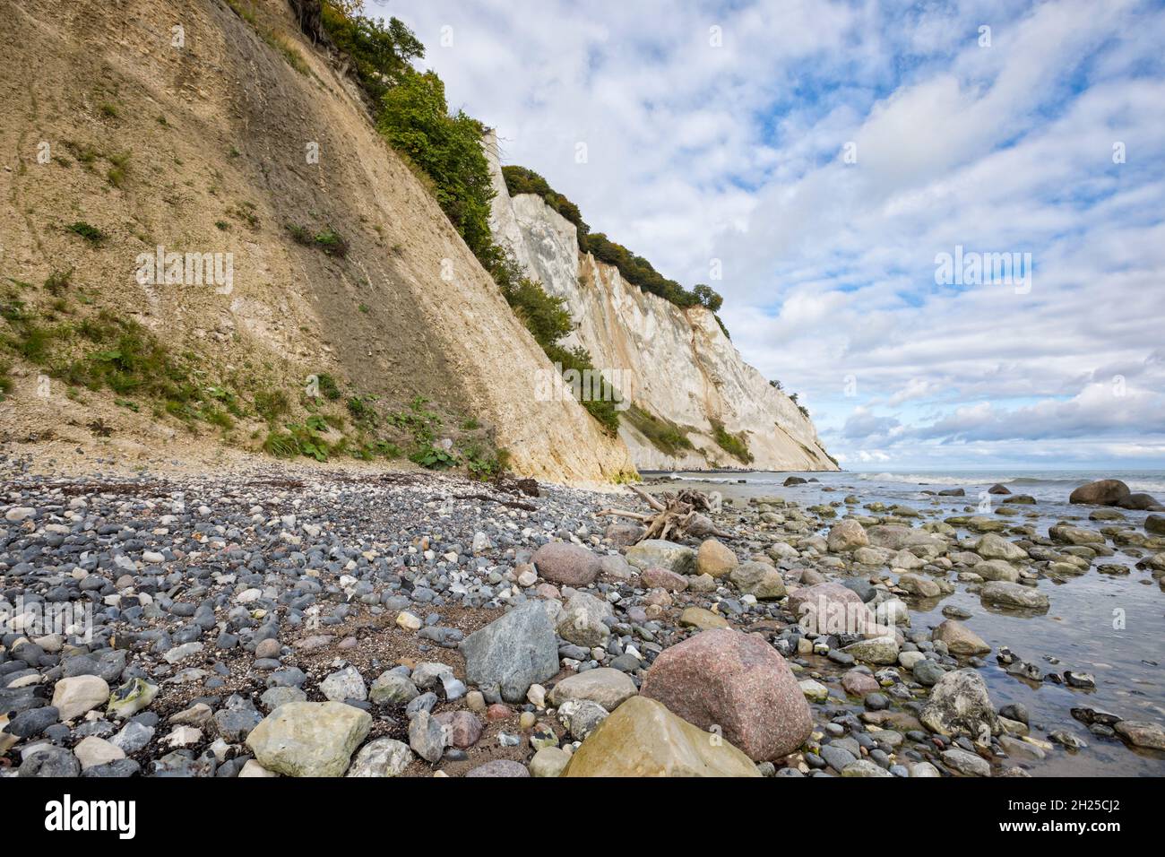 Mon denmark cliff hi-res stock photography and images - Alamy
