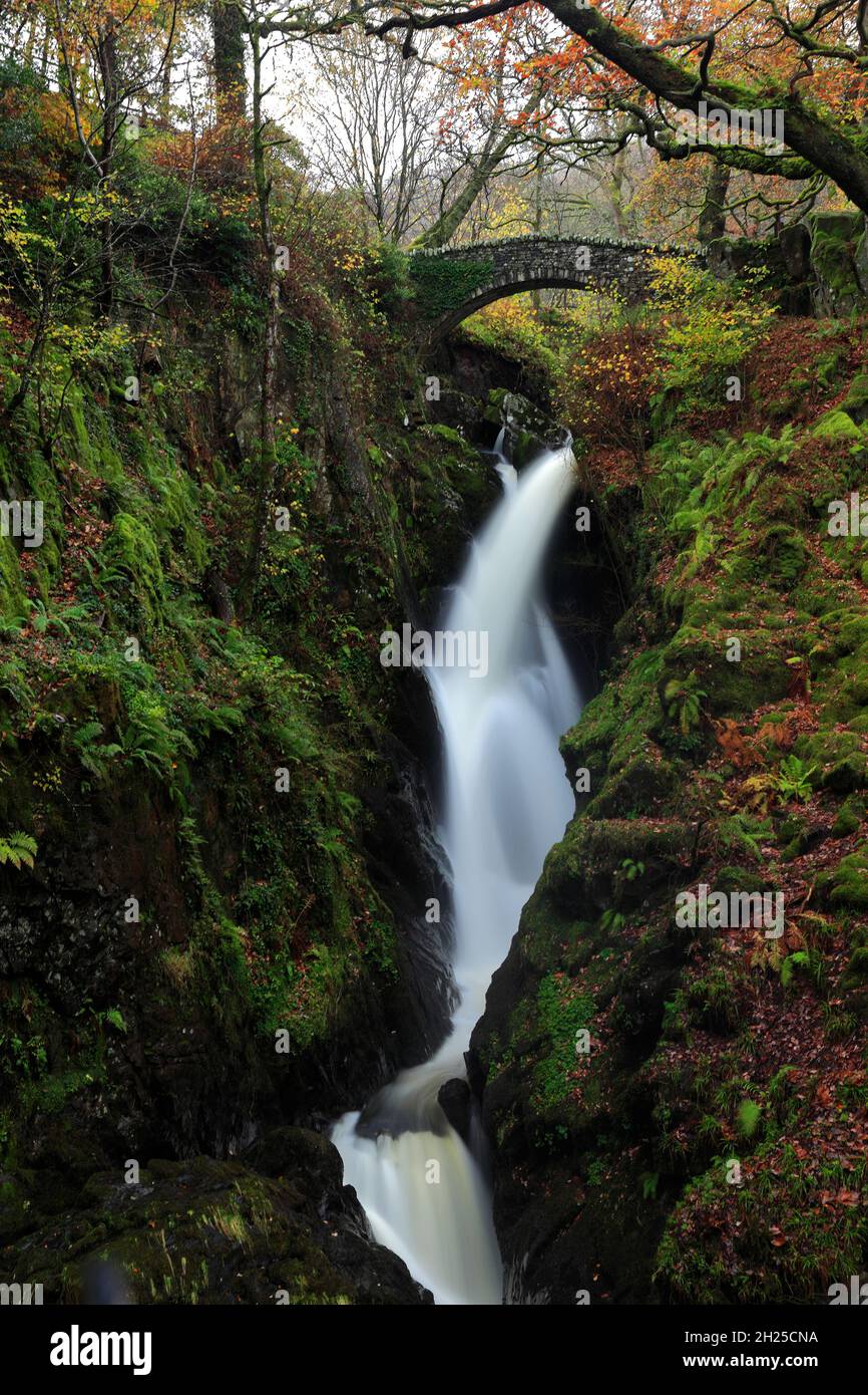 Autumn, Aira Force waterfall near Ullswater, Lake District National ...