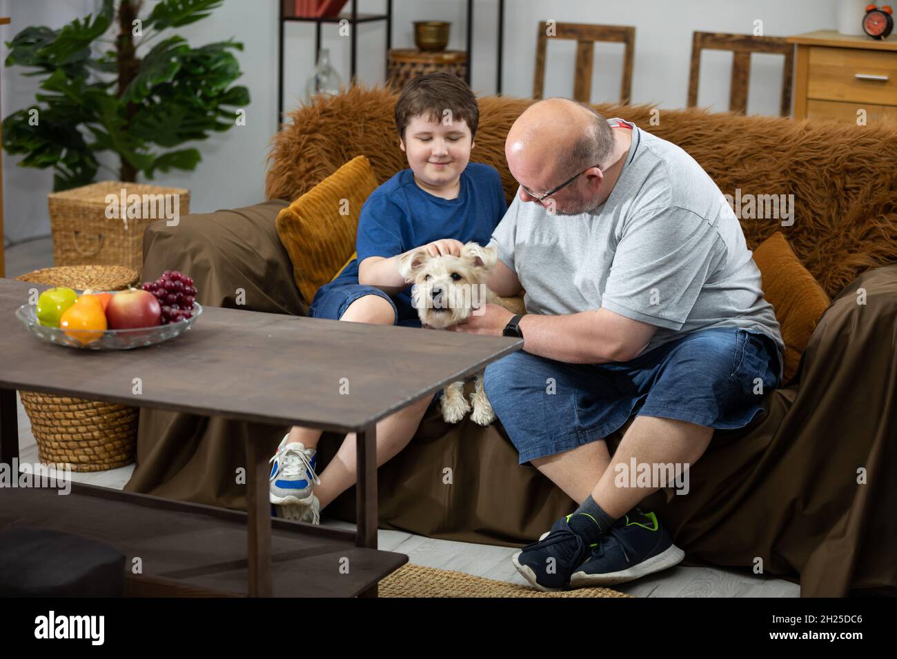 In the living room, a father and son sit on the sofa and stroke their ...