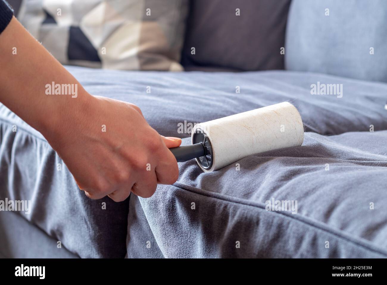 Cat lint hi-res stock photography and images - Alamy