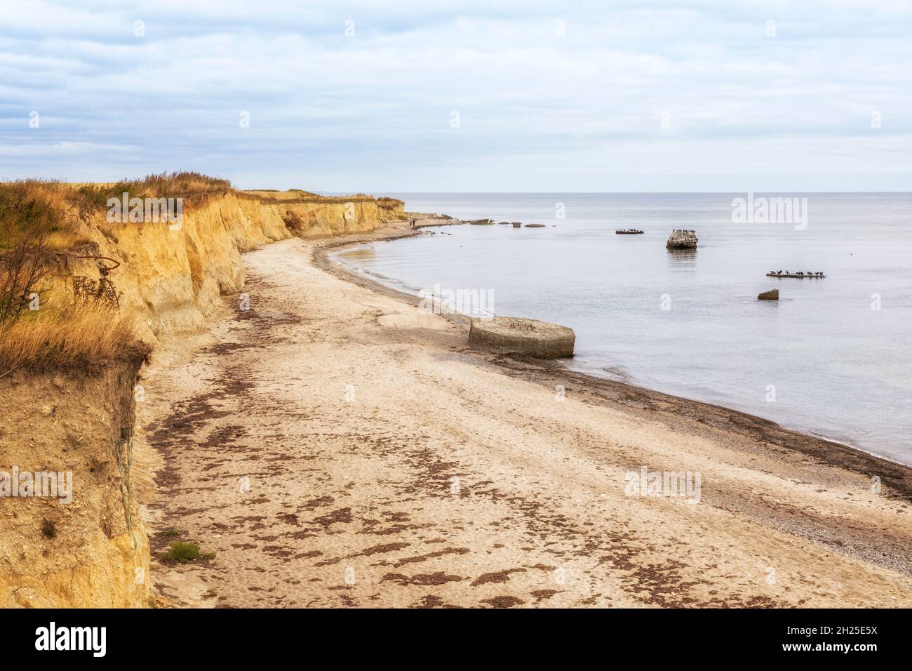 Cliff and beach with remains of bunkers at Gedser Odde, southernmost ...