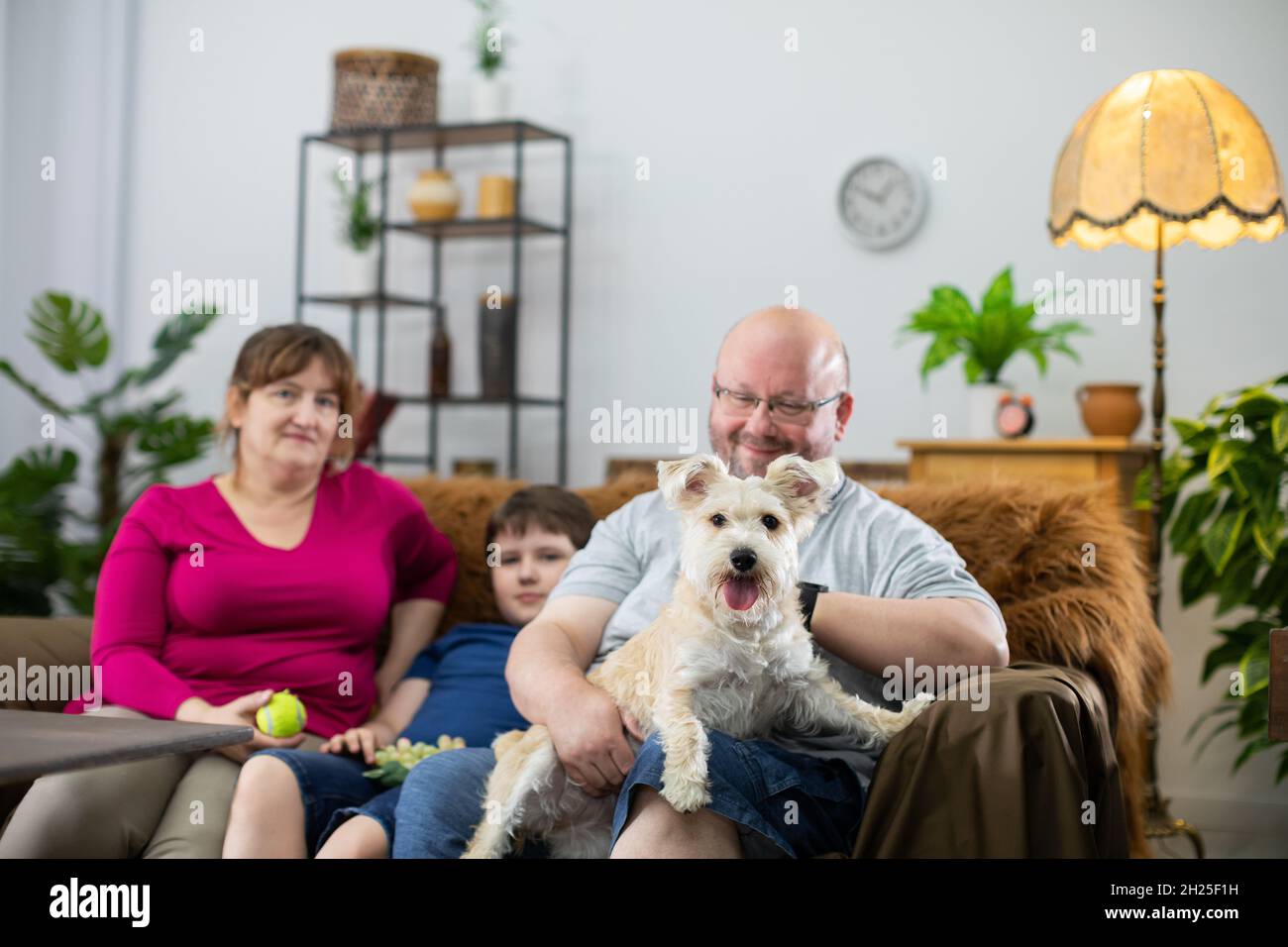 The dog sits on the lap of the head of the family and stares intently ...