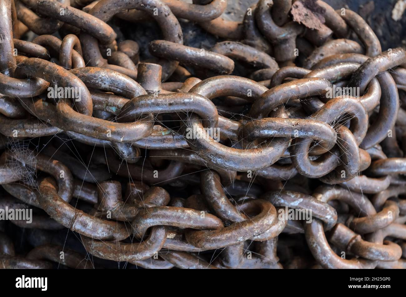 Rusty heavy-duty iron chain for forestry use, close-up view Stock Photo ...