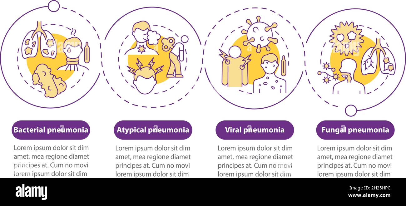 Classification flowchart hi-res stock photography and images - Alamy