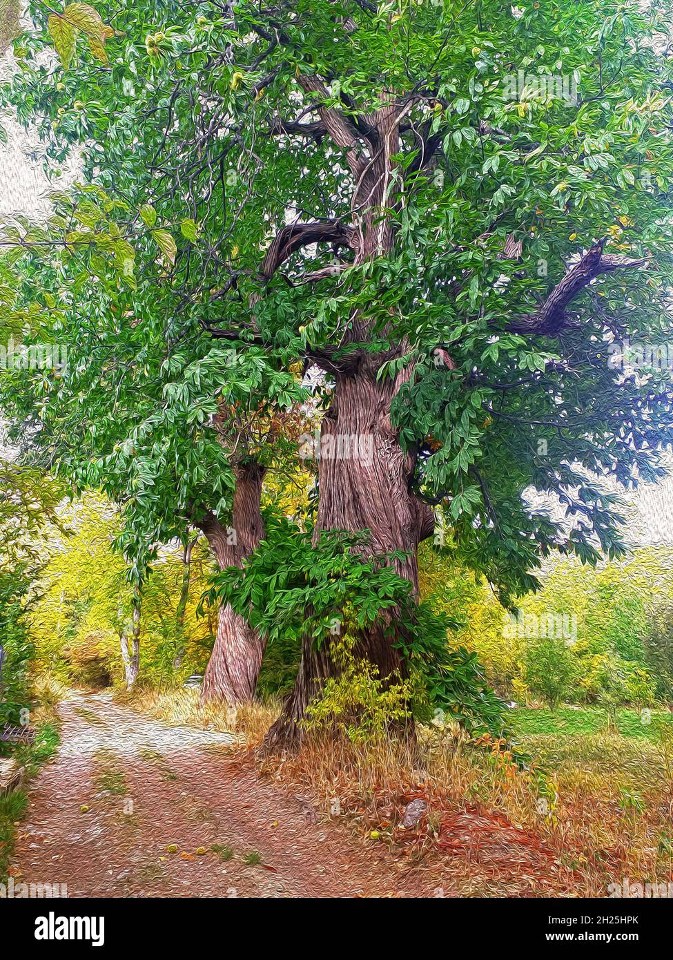 Art in photography. Nature scene from Turkey with oil painting effect ...