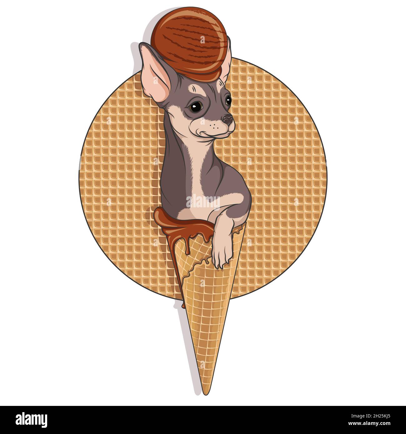 Chihuahua dog white brown Stock Vector Images - Alamy