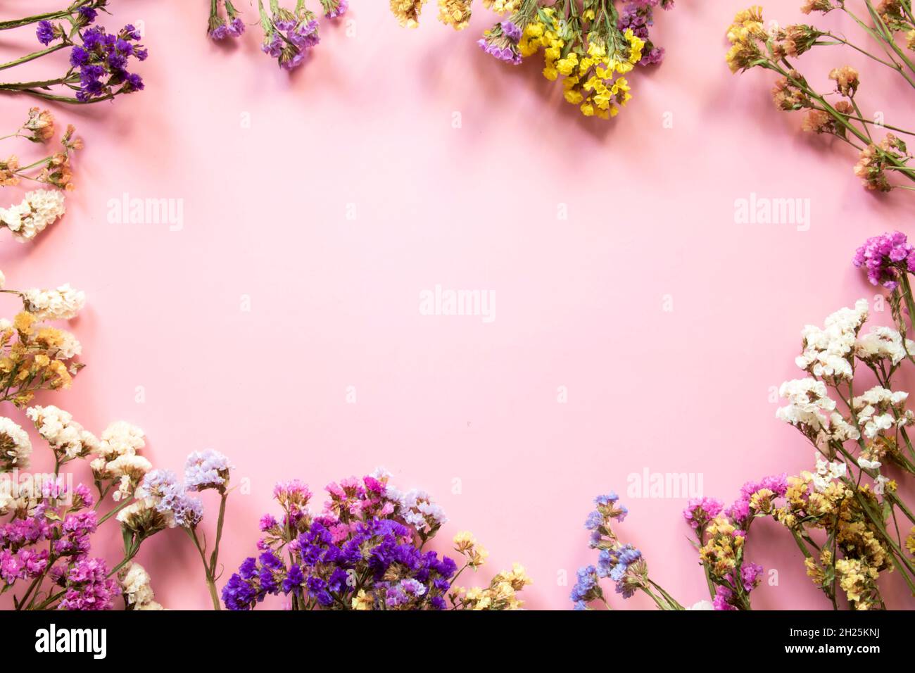 Multi colored flower border hi-res stock photography and images - Alamy