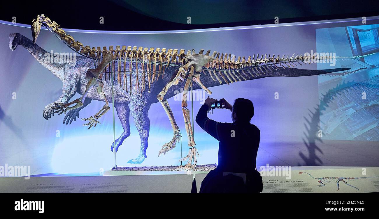 Plateosaurus High Resolution Stock Photography and Images - Alamy