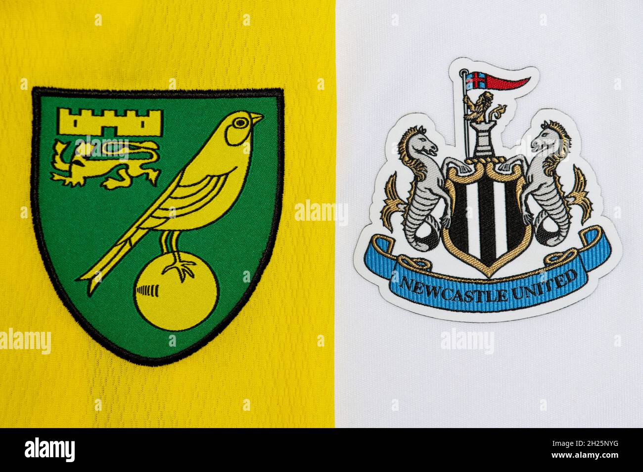 Norwich Football Logo