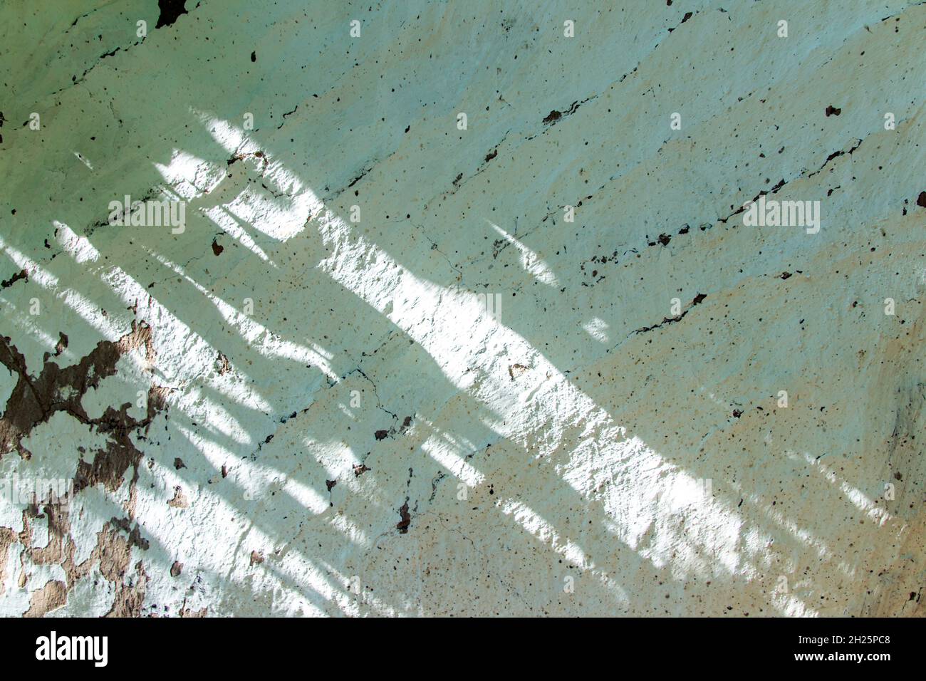Leaves shadow with harsh light on an old cracked, plastered wall. Hard ...
