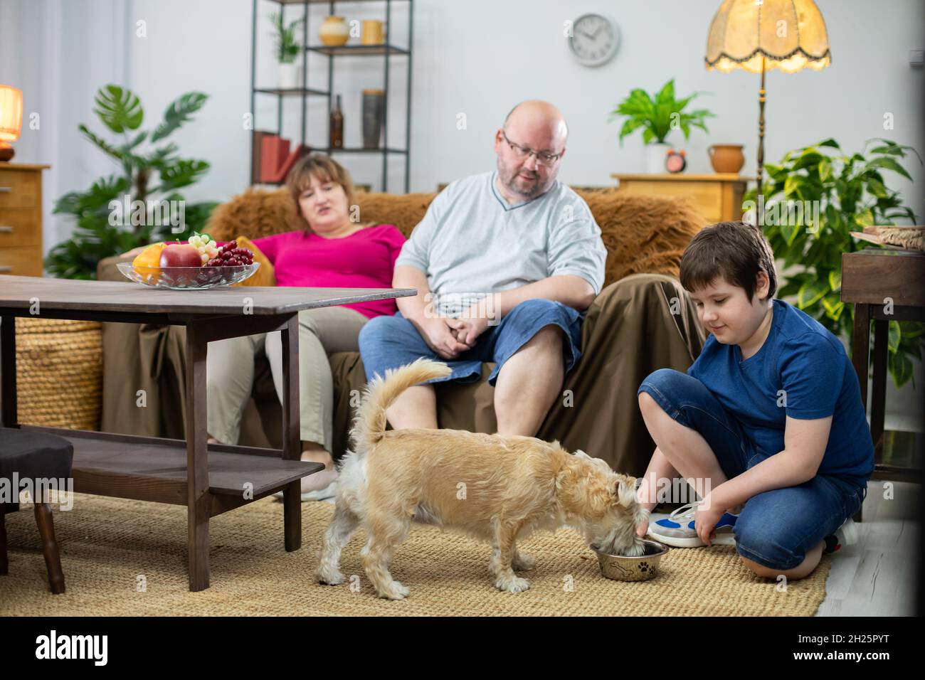 The son brought water to the dog in a bowl and the shaggy four-legged ...