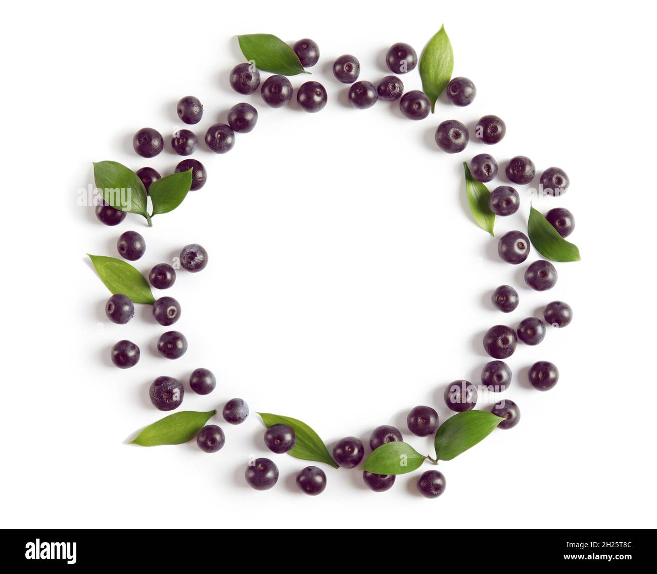 Frame made of fresh acai berries and leaves on white background Stock ...