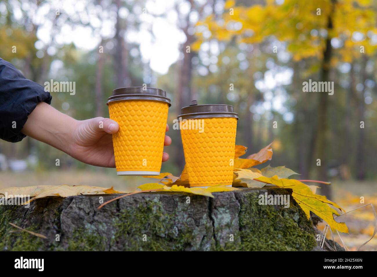 Hand taking one of two paper coffee cups standing on a tree stump ...