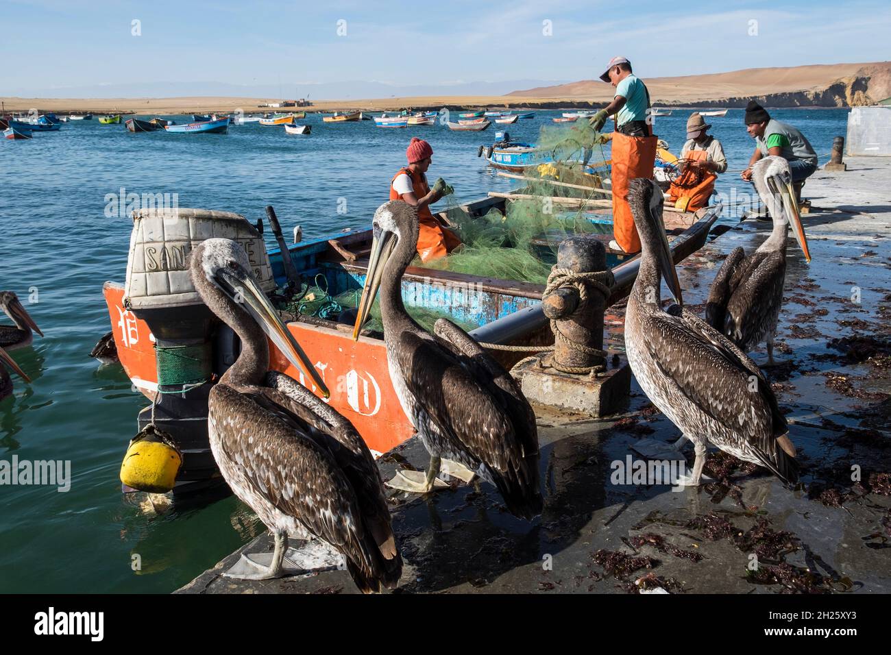 Peruvian fishermen hi-res stock photography and images - Alamy