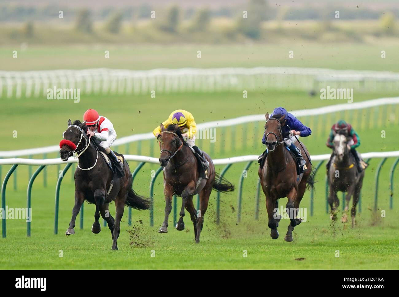 Claymore horse hi-res stock photography and images - Alamy