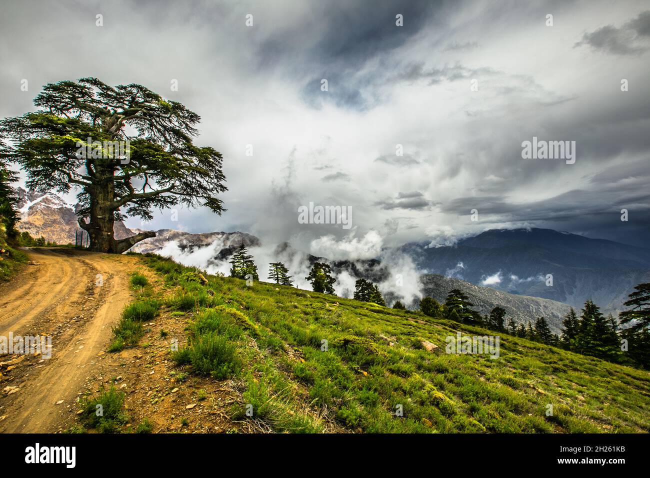 Chitral hi-res stock photography and images - Alamy